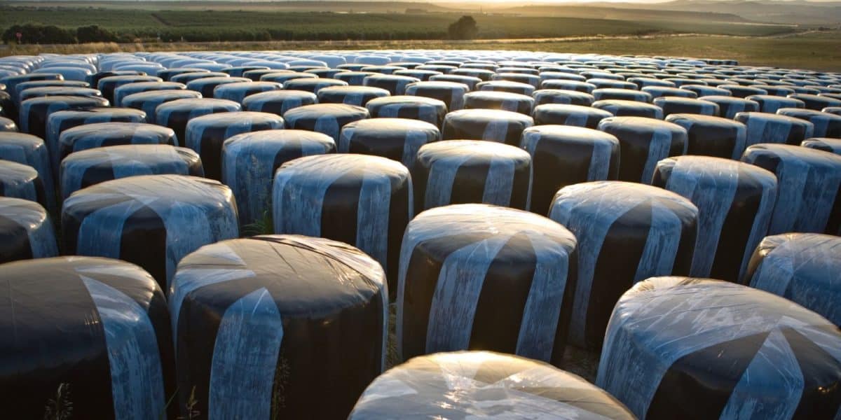 Carbon Black For Film & Molding Products | Birla Carbon